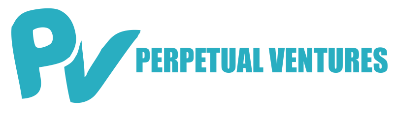 Perpetual Ventures – Soft Skills Training